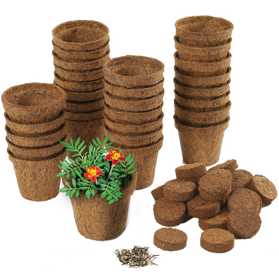 Wonder Soil Classroom Gardening Kit - 30 pots, wonder soil wafers with ...