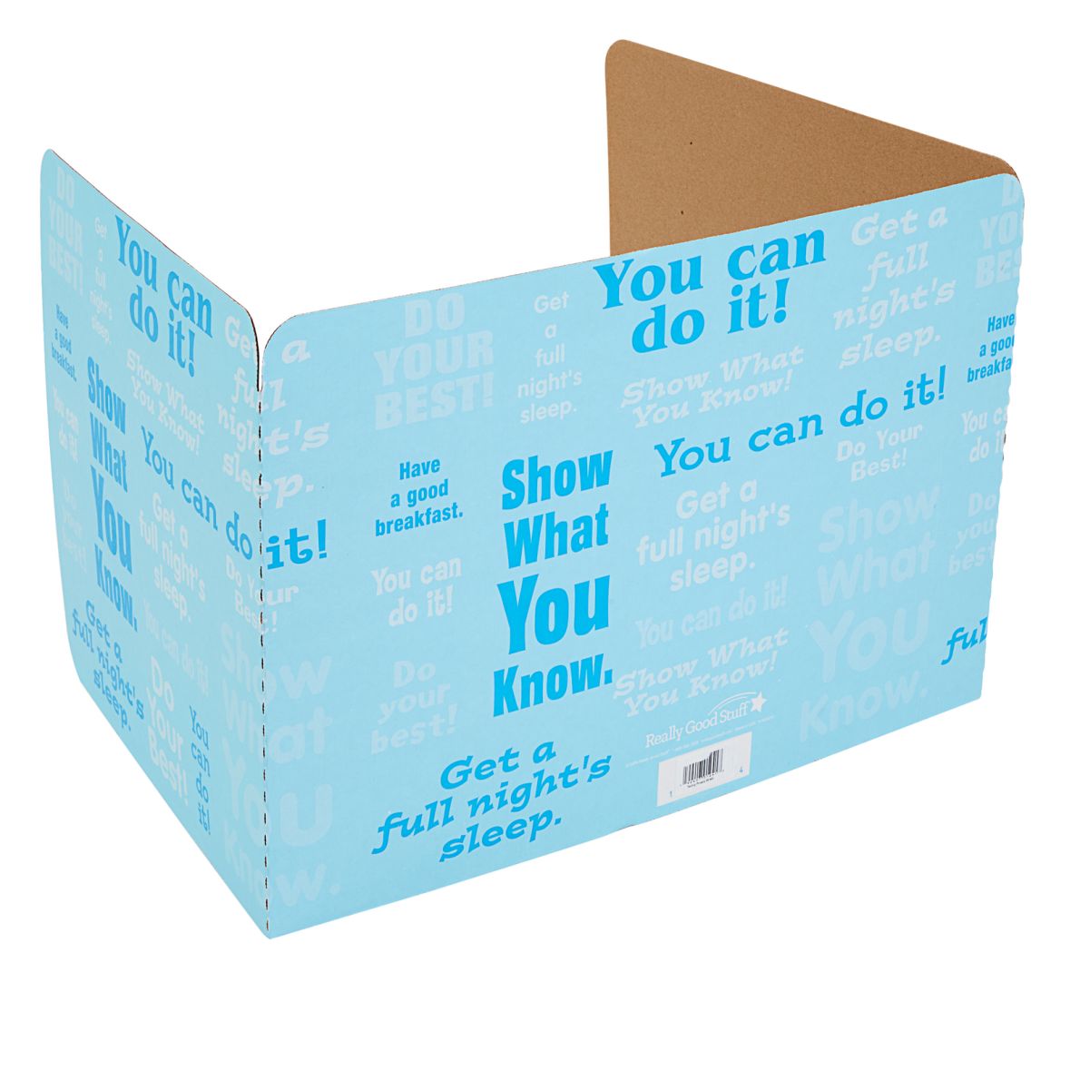 Testing Privacy Shields - Set of 12 - Matte