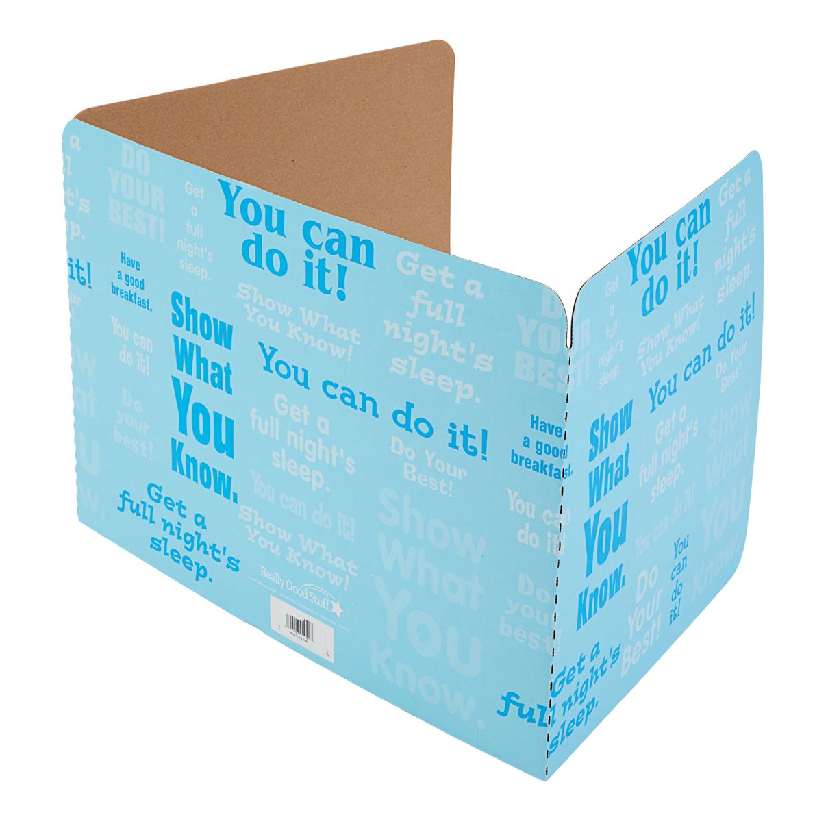 Testing Privacy Shields - Set of 12 - Matte