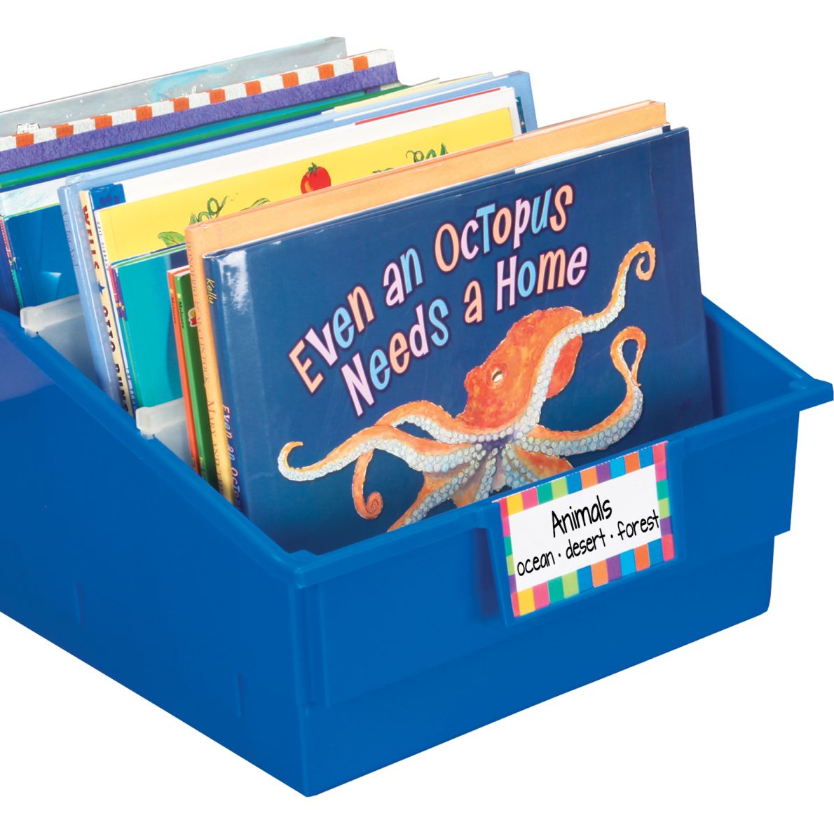 4-Pack Single-Color Picture Book Classroom Library Bins™ With Dividers