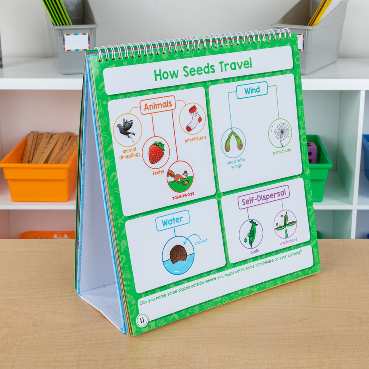 Science Flip Chart Primary - 1 flip chart