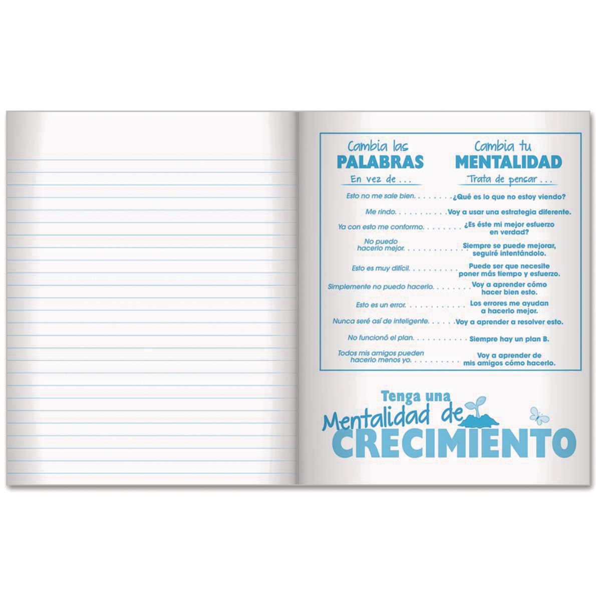 Really Good Stuff® Diarios de Mentalidad de Crecimiento (Spanish Growth ...