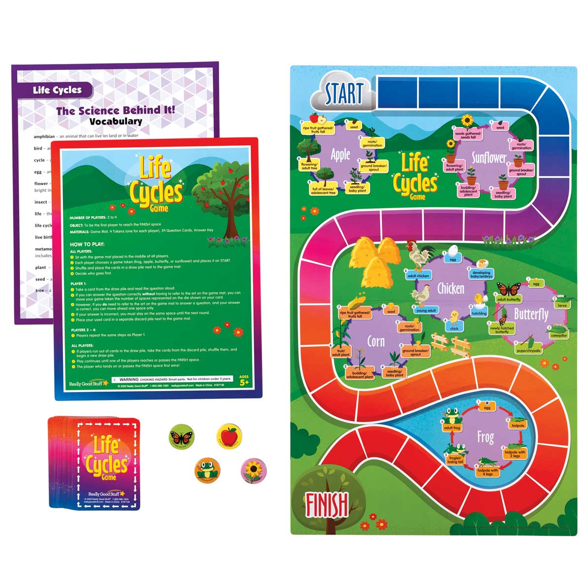 Life Cycles Science Center