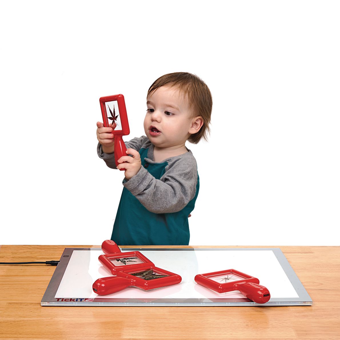 Excellerations® earlySTEM™ Toddler Specimen Viewers - Set of 4