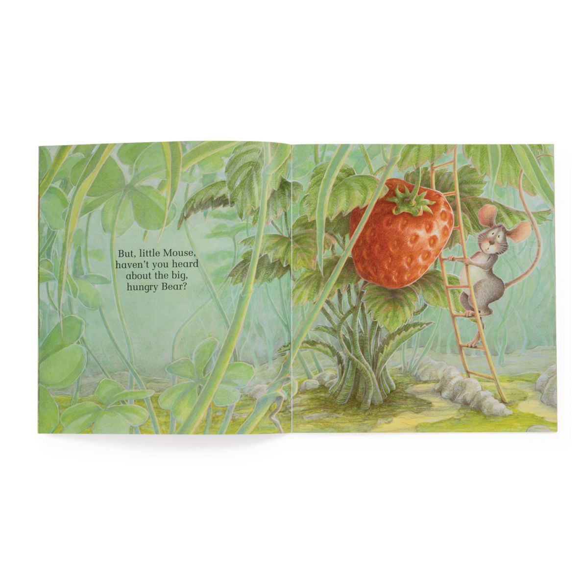 The Red Ripe Strawberry and the Big Hungry Bear 4 Paperback Books and 1 ...