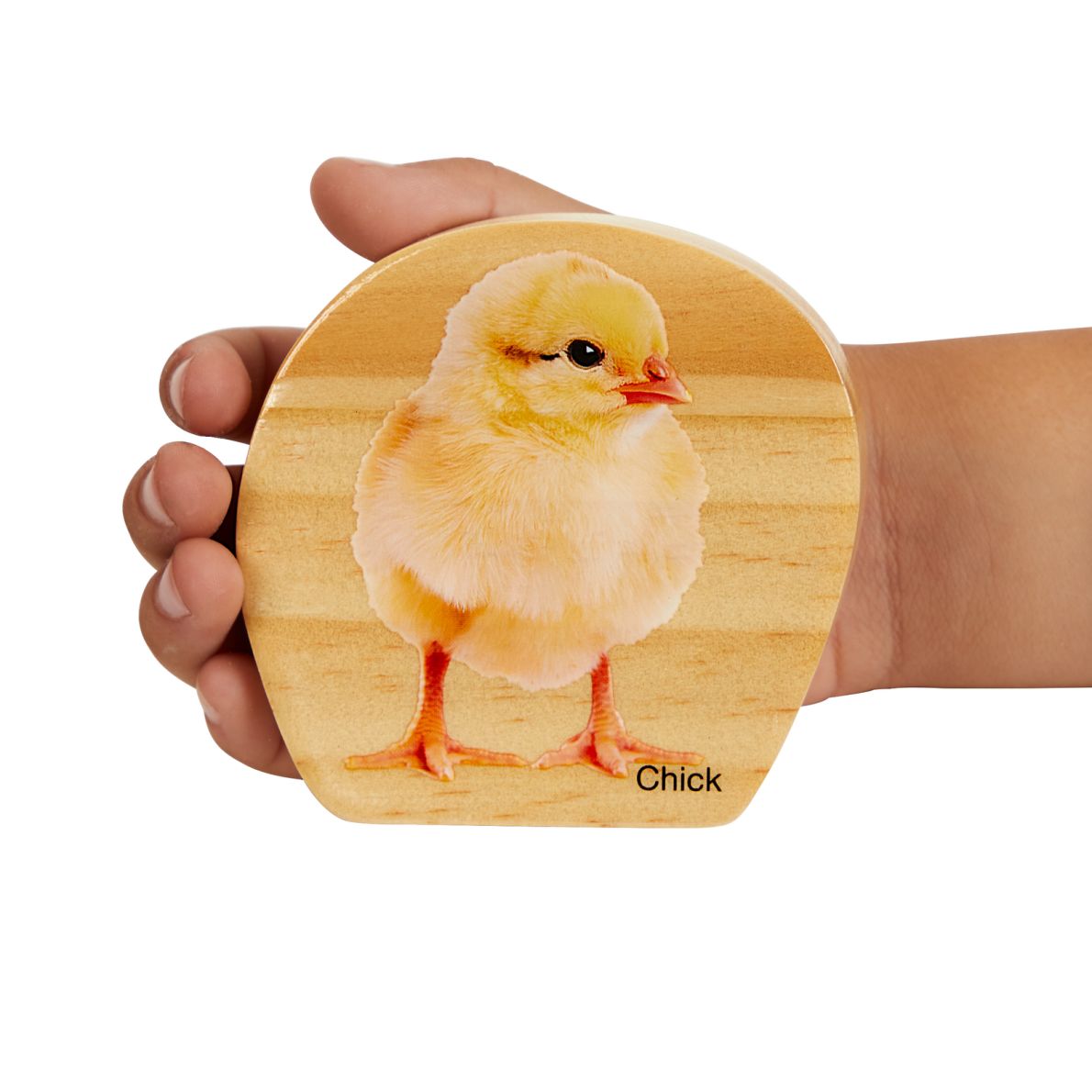 Excellerations® earlySTEM™ Life Cycles Nesting Puzzles Set of 3