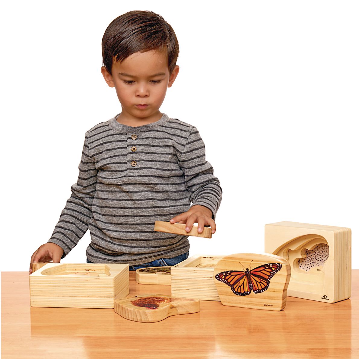 Excellerations® earlySTEM™ Life Cycles Nesting Puzzles Set of 3