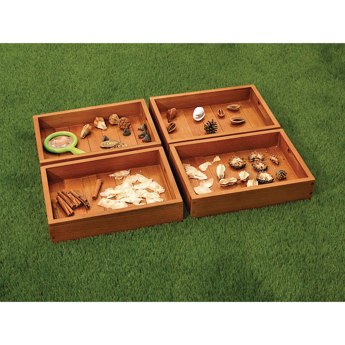 Excellerations® Outdoor Market Stand