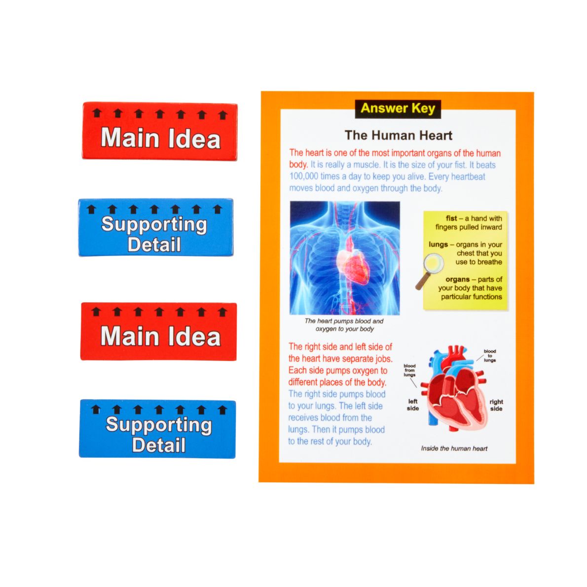 Really Good Stuff® Main Idea Markup Story Cards and Tags - Level 1