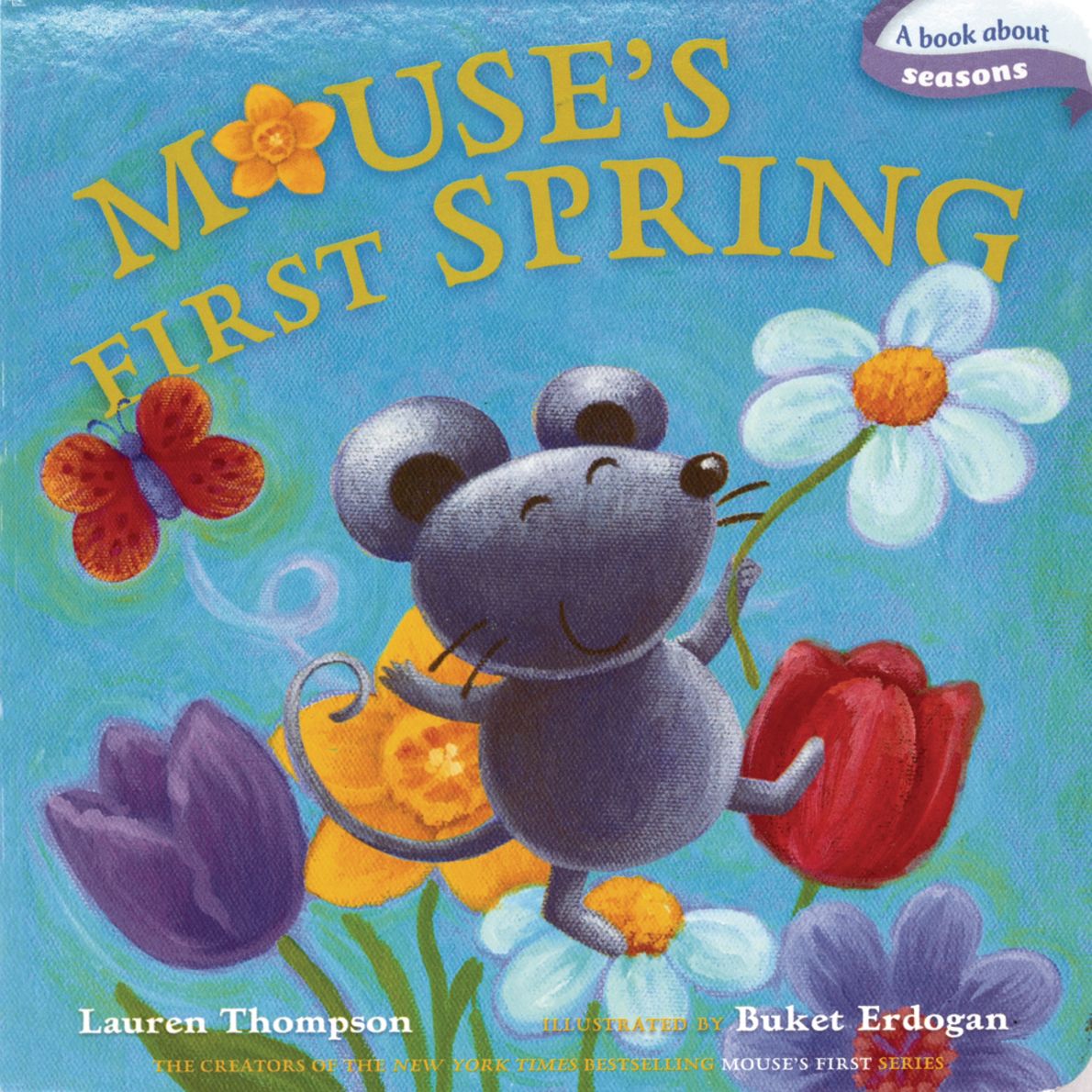 Mouse's First Spring Board Book