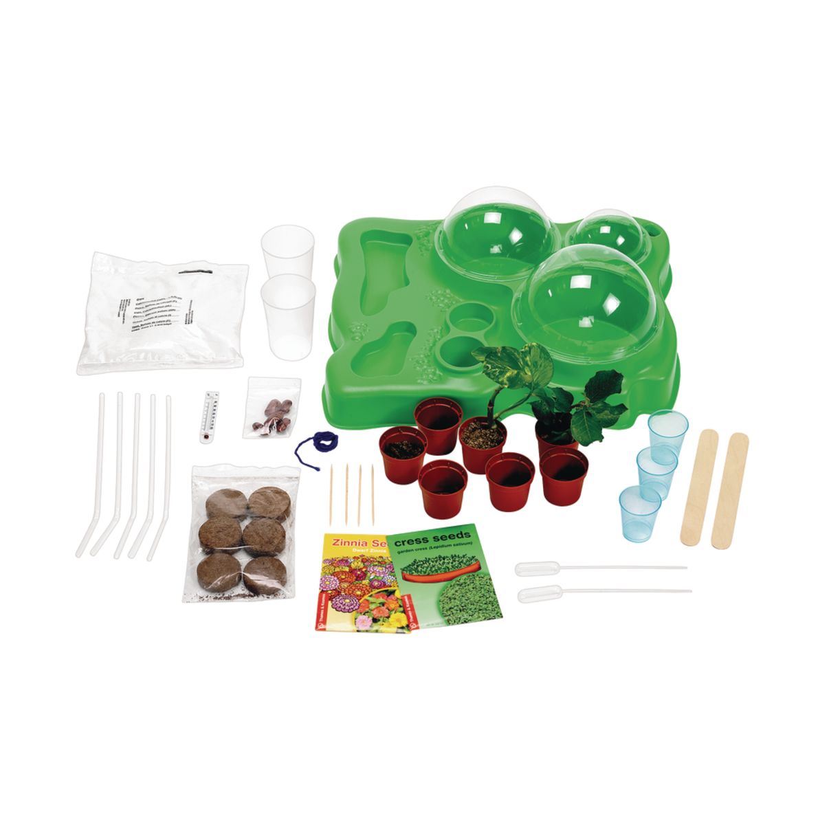 Botany Lab Experimental Greenhouse – 41 Pieces