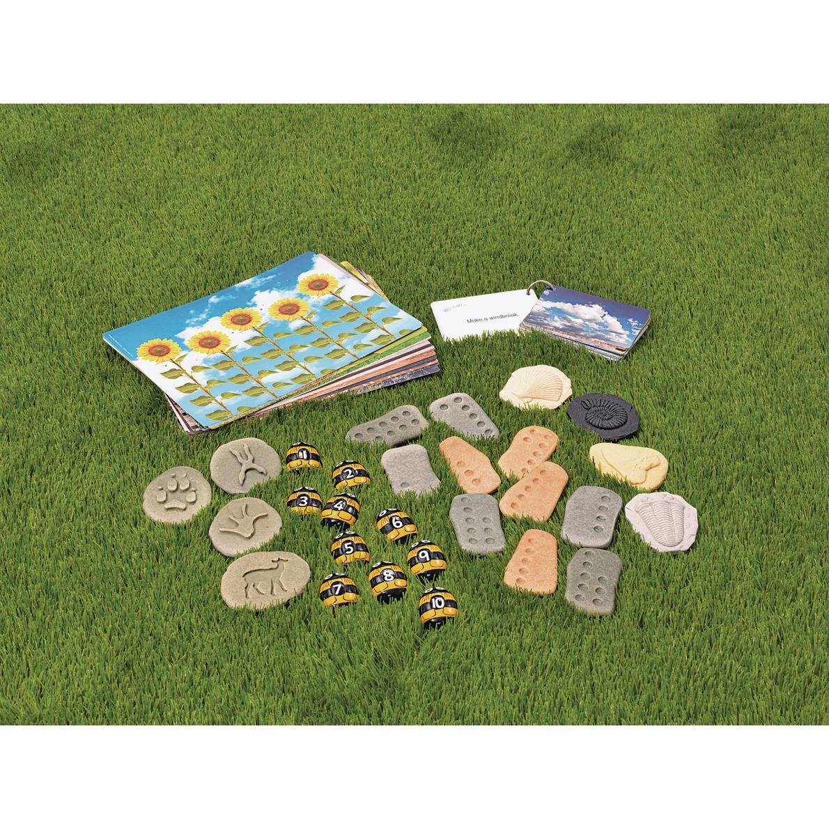 Excellerations® PreK Science and Nature Kit