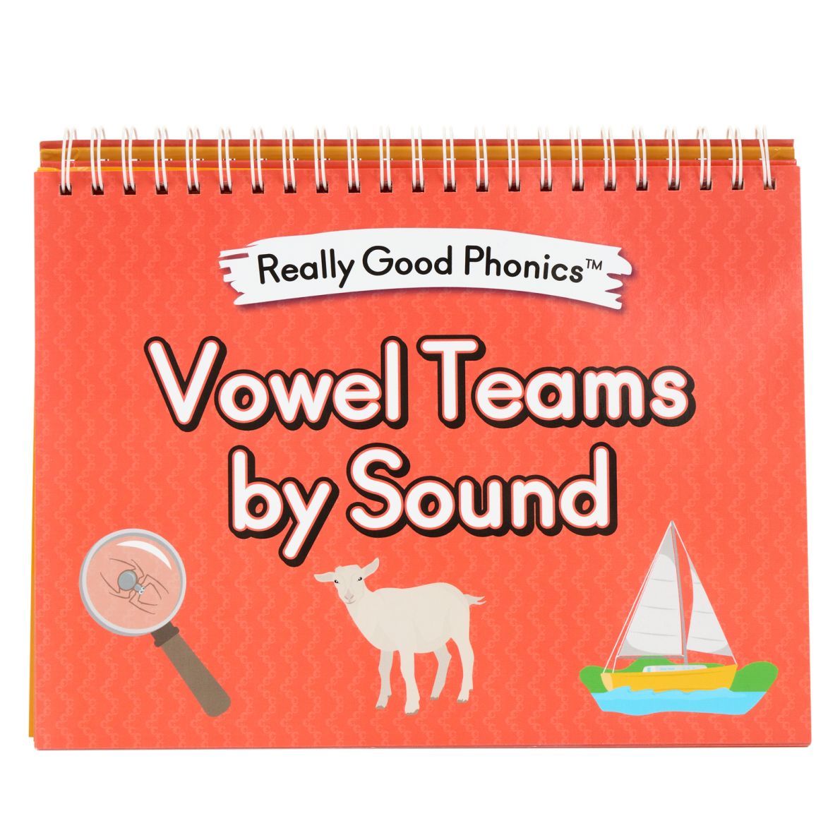 Really Good Phonics™ Vowel Teams by Sound and Diphthongs Decodable ...