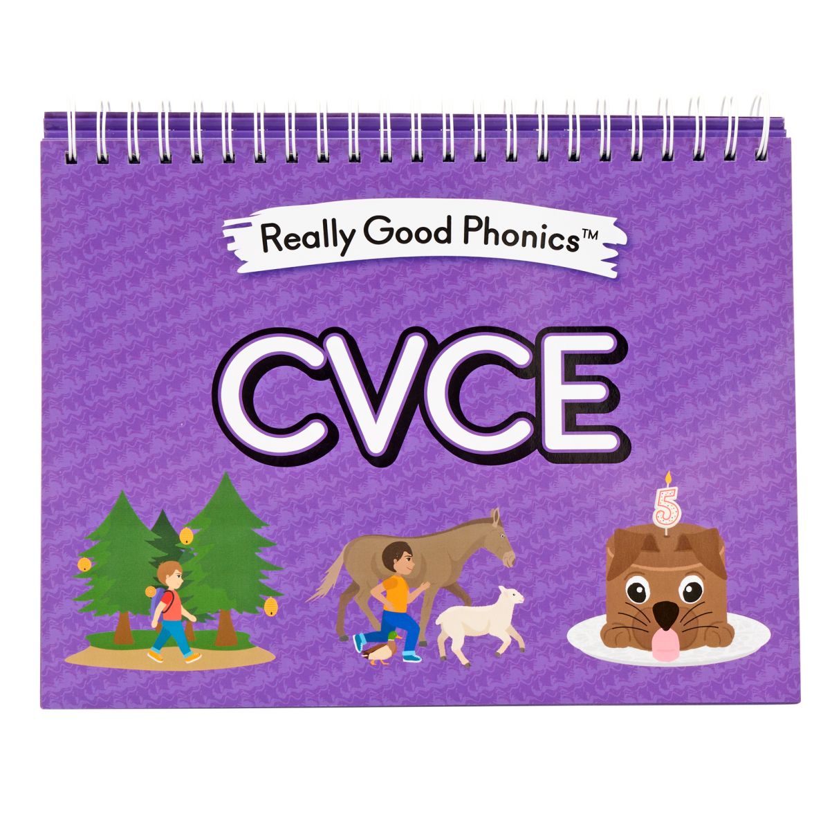 Really Good Phonics™ Decodable Readers Flip Chart – CVCE and R ...