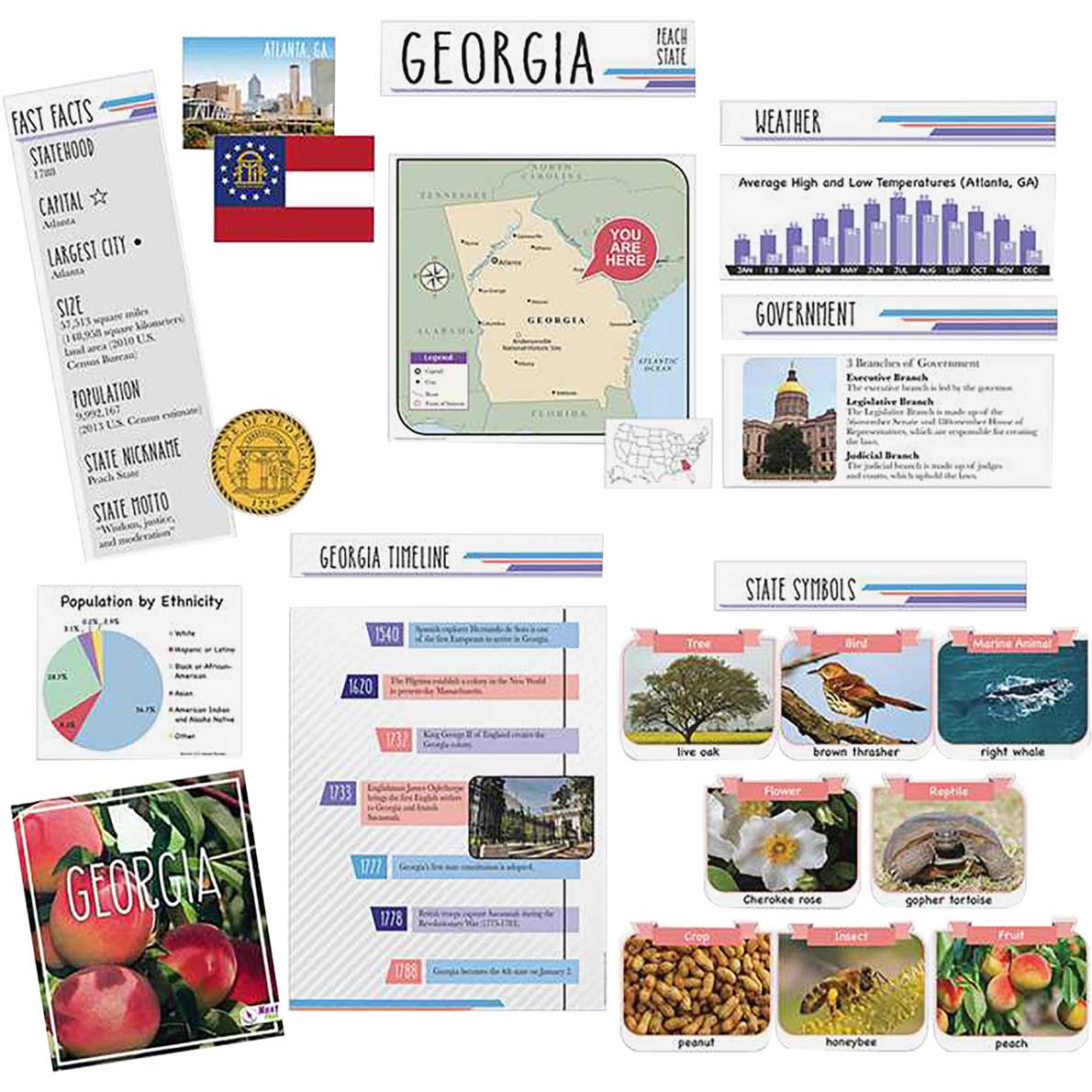 Georgia State Facts Bulletin Board Set