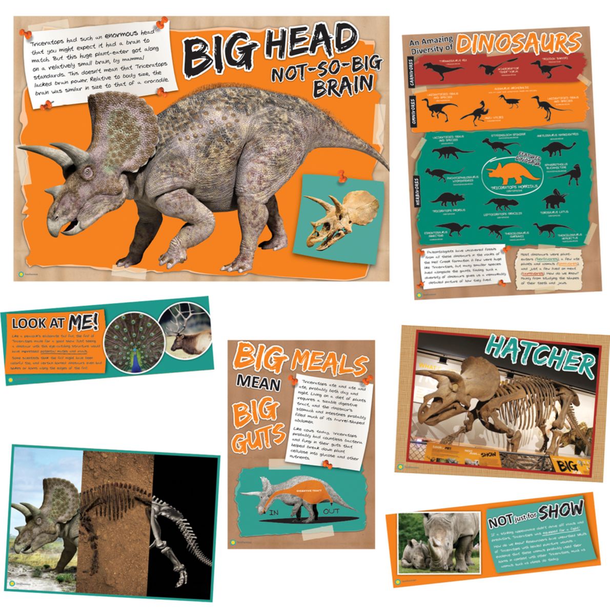 Smithsonian Amazing Dinosaurs Amazing Diversity Of Dinosaurs Bulletin ...