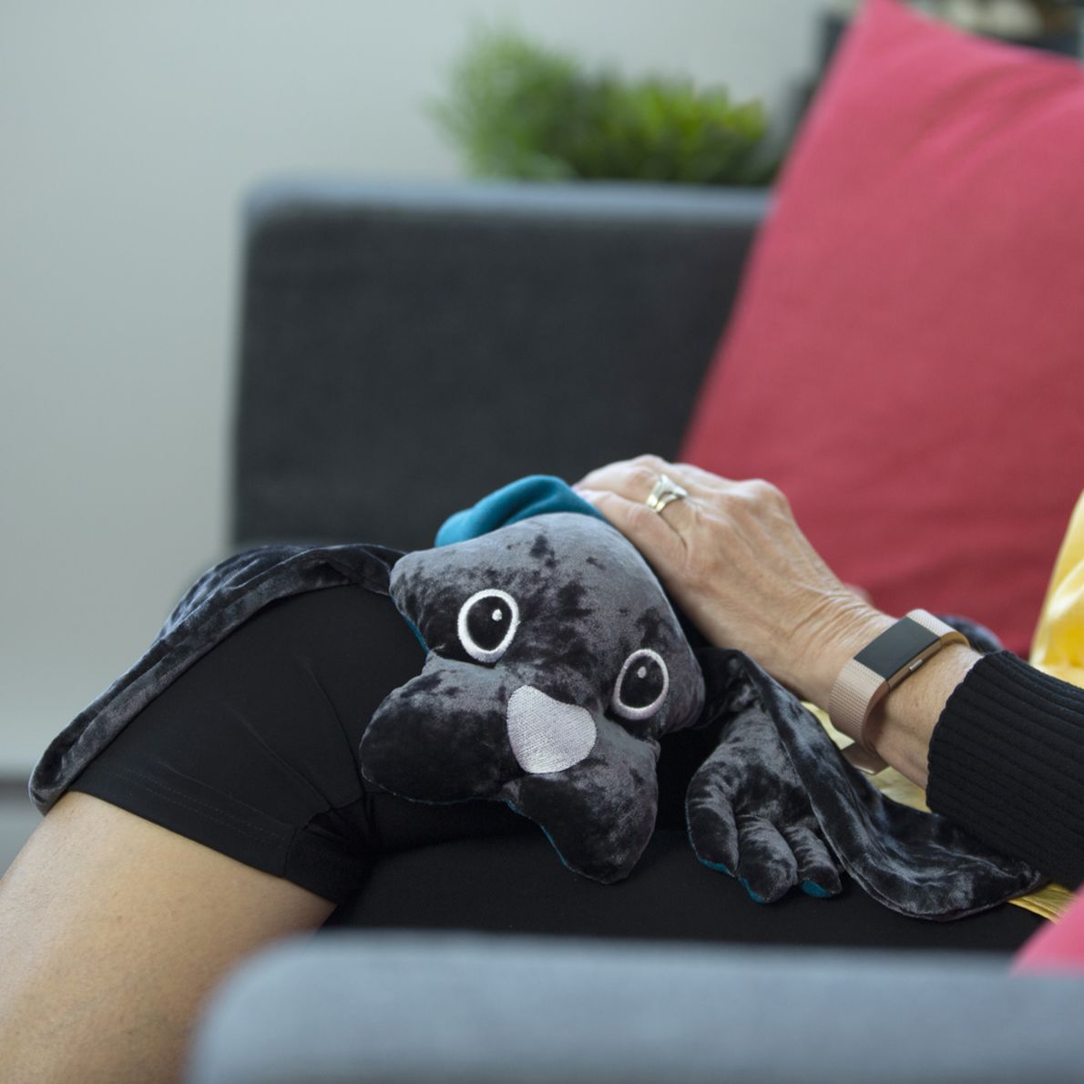 Weighted Dog - 2.2lbs