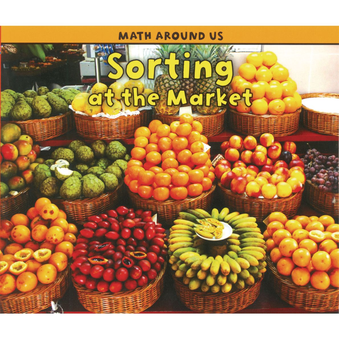Math Around Us Books - 6 Titles