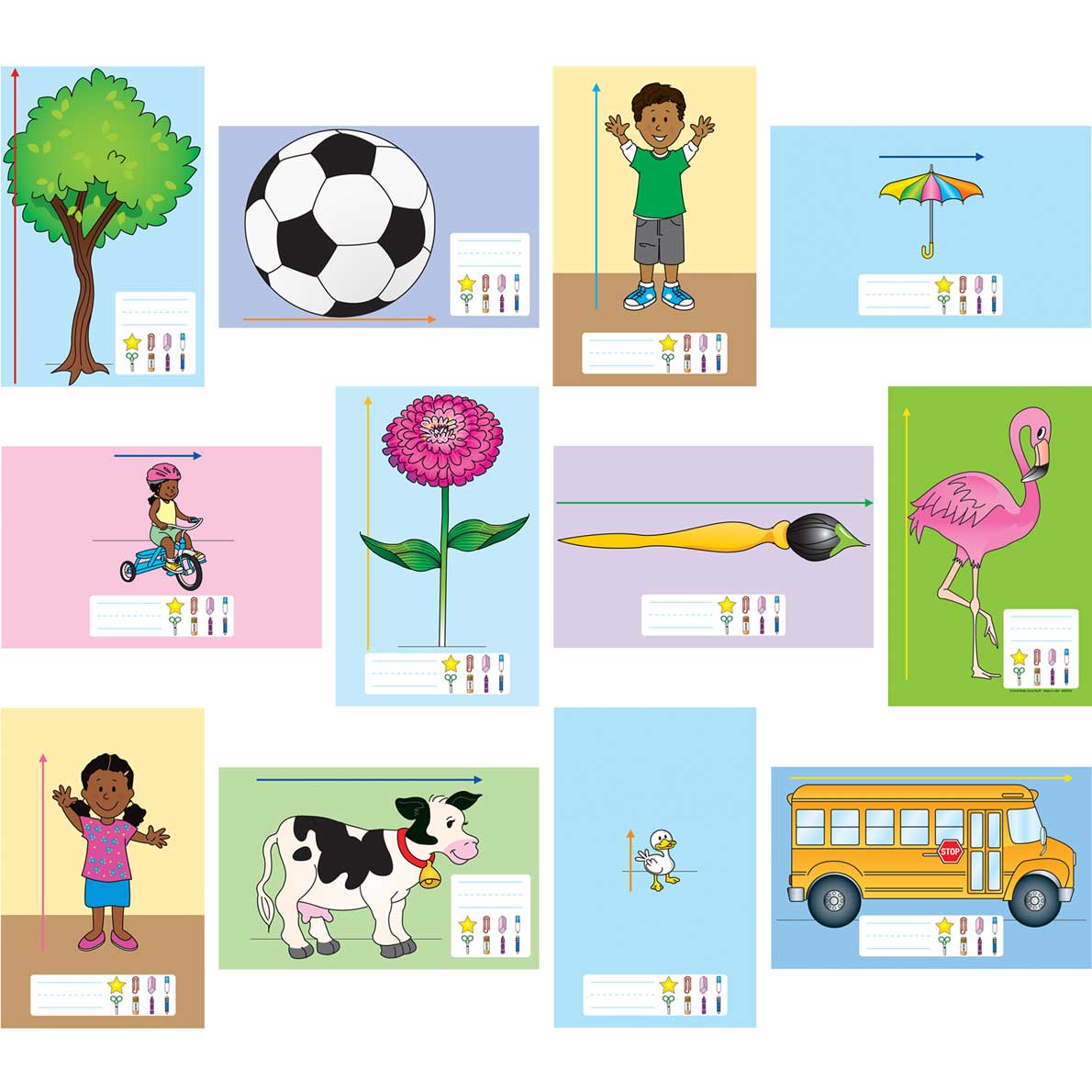 Non-Standard Units Of Measure Activity Cards - 16-piece kit