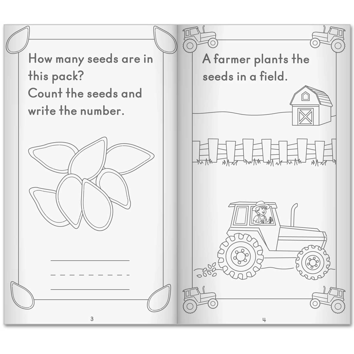 Life Cycle Of A Pumpkin Activity Books