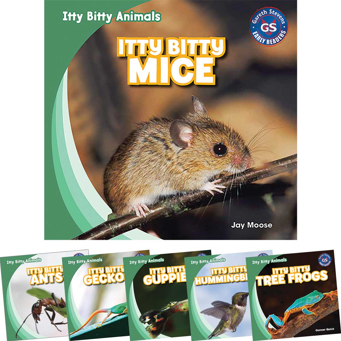 Itty Bitty Animals 6-Book Set