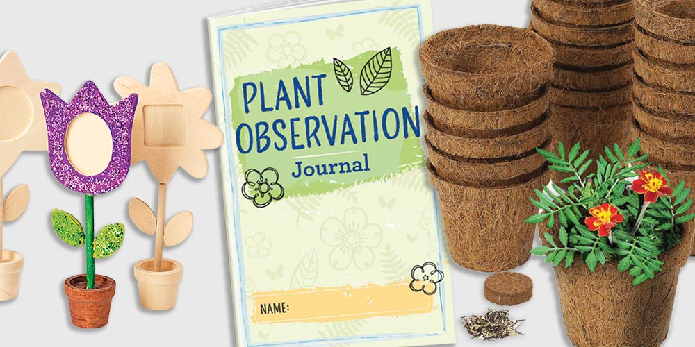 Budget Bundles | Really Good Stuff